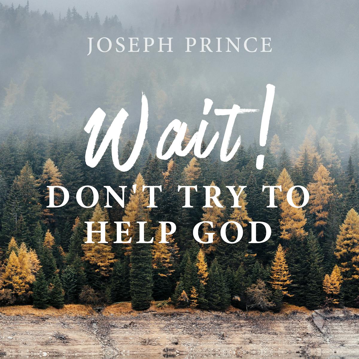 Wait! Don't Try To Help God | Sermons | JosephPrince.com
