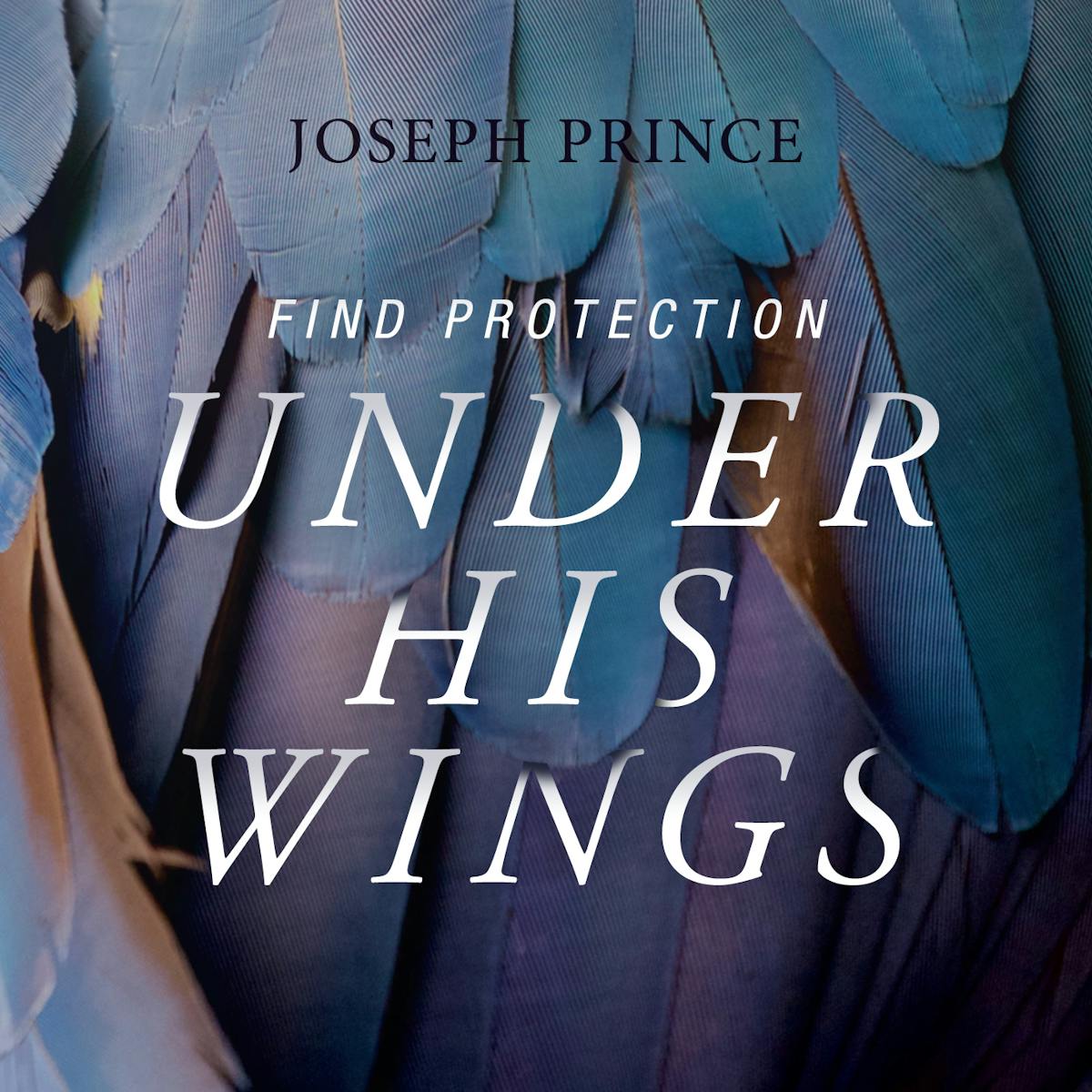Find Protection Under His Wings | Sermons | JosephPrince.com