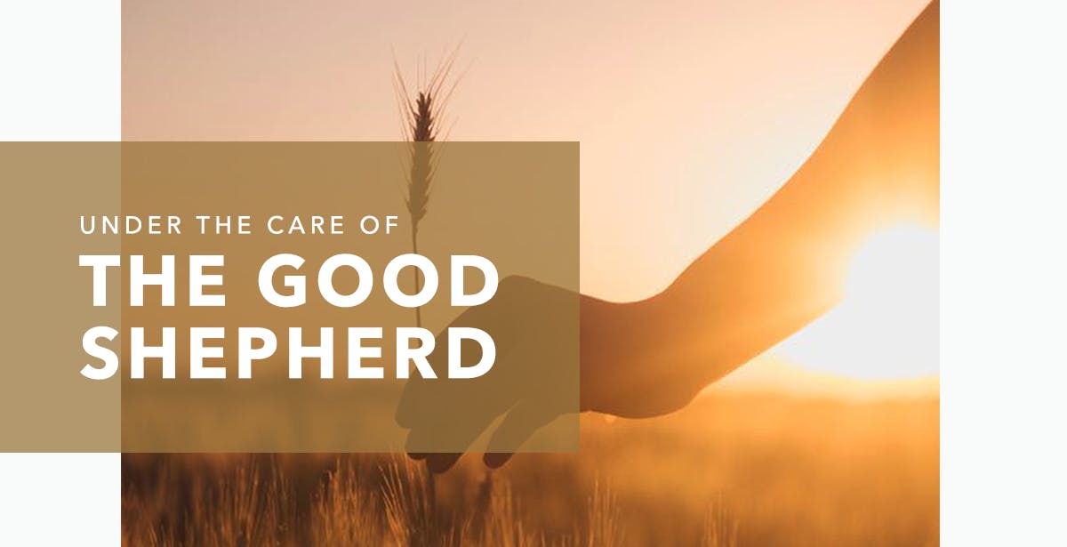 Under the Care of the Good Shepherd | JosephPrince.com