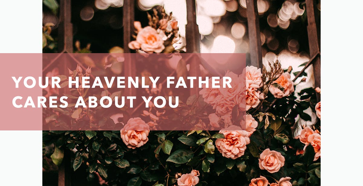 Your Heavenly Father Cares about You | JosephPrince.com